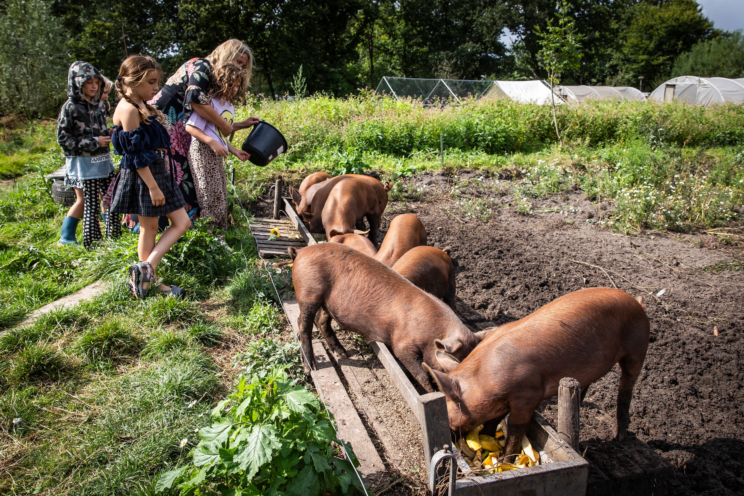 Bij deze kinderopvang in Noord mogen kinderen elke dag vies worden: ‘We ...