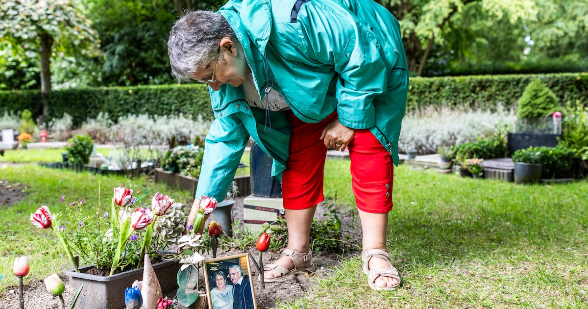 Els (68) kon rondkomen – totdat ze dertig jaar geleden een camper op ...