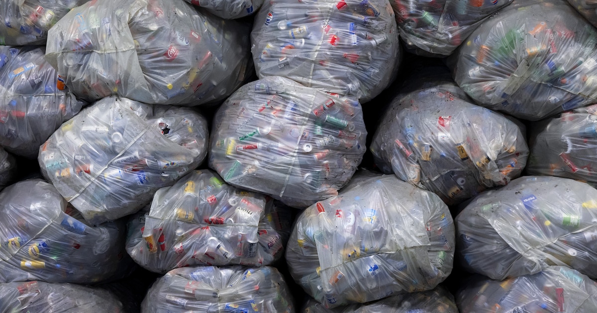 Recyclewinkel Droppie opent eerste bulkautomaat voor statiegeld van ...