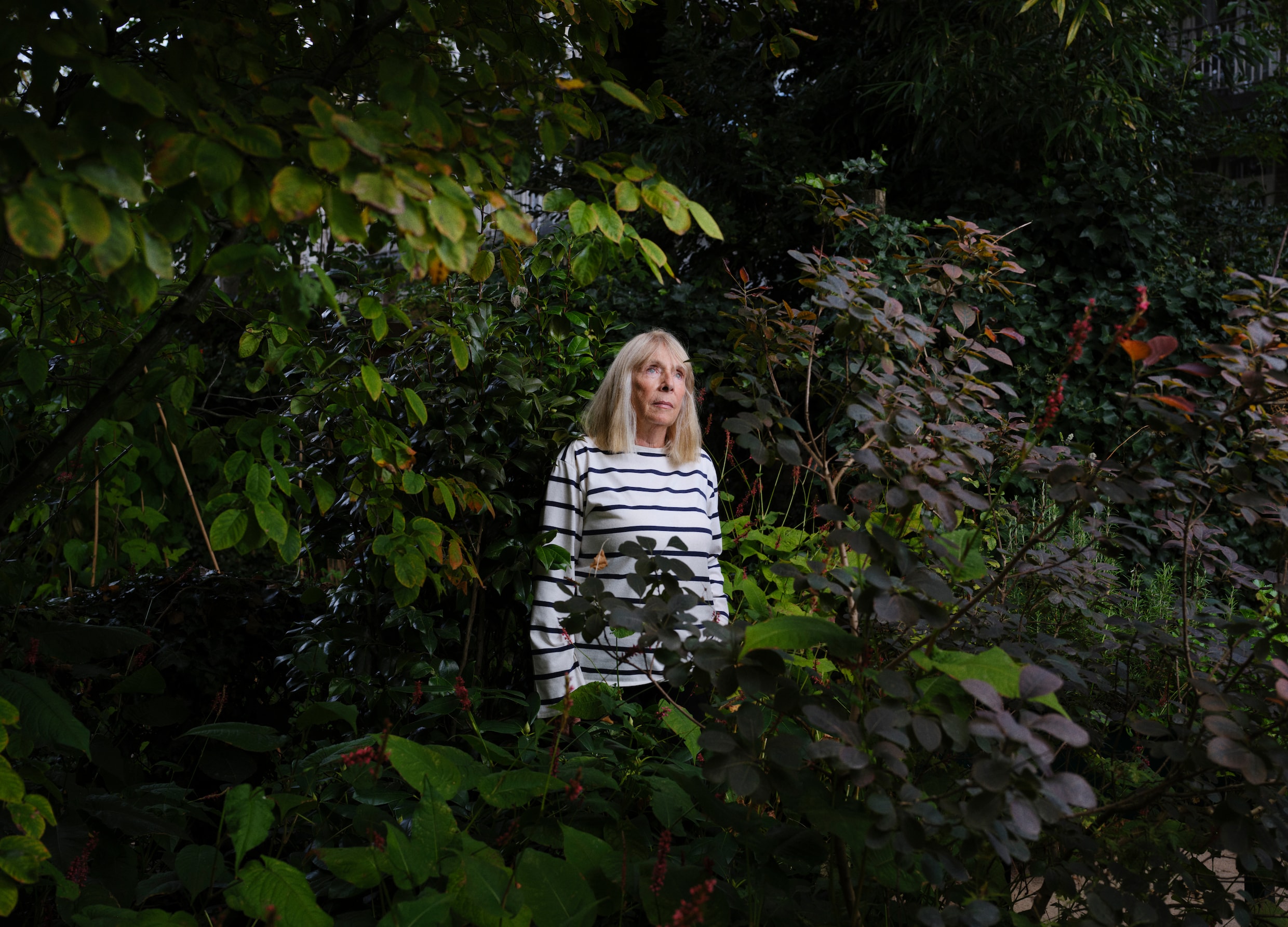 Will Koopman is regisseur van Gooische Vrouwen: ‘Ik zou nooit in Zuid ...