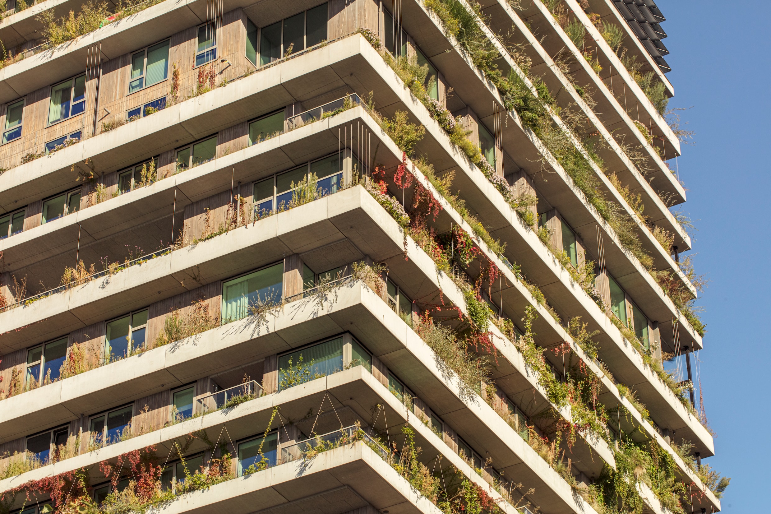 Woningnood in Amsterdam: het nieuwe tuindorp is verticaal en een groene ...