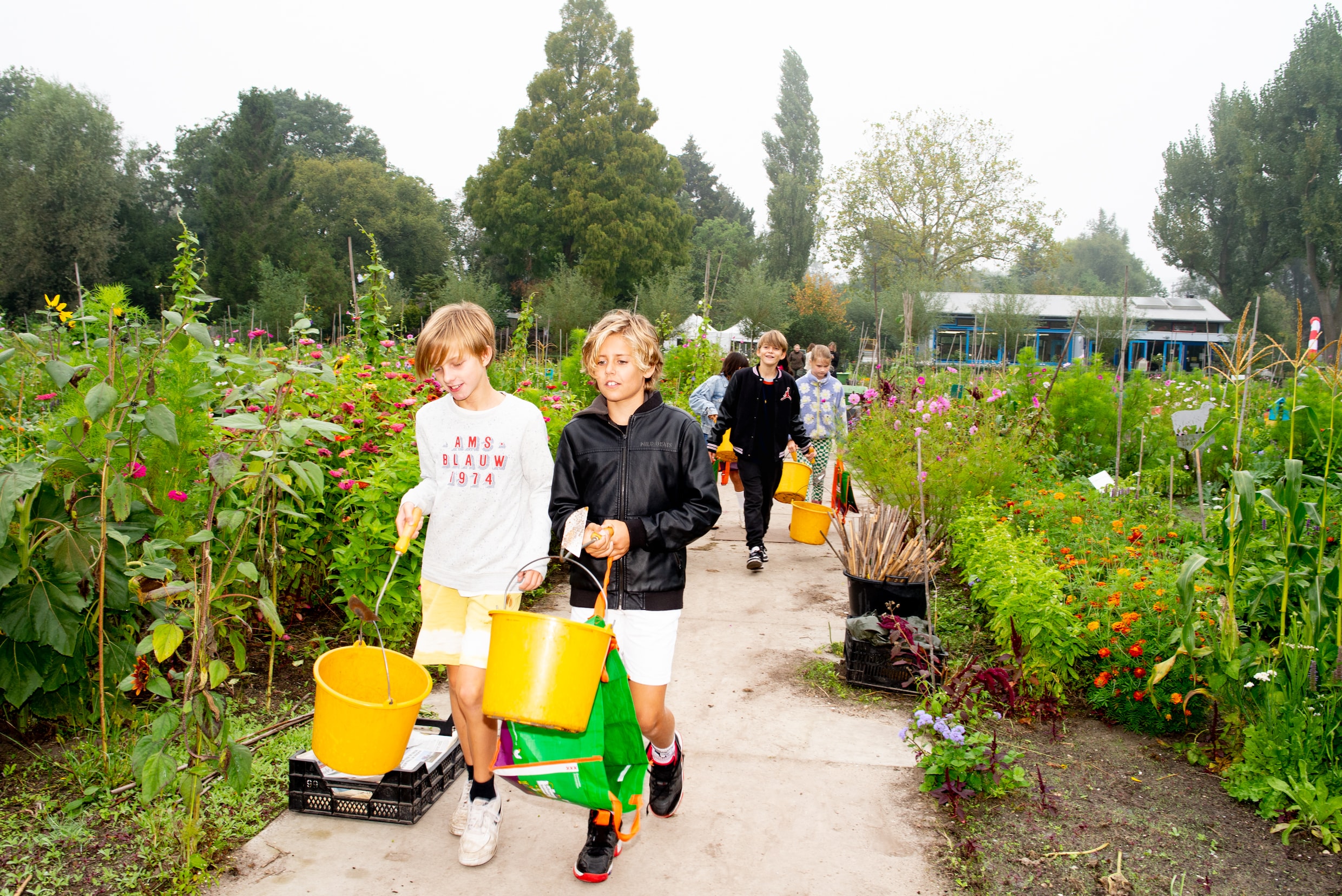 Waarom de Amsterdamse schooltuin nog altijd een succes is: ‘Stadskinderen weten vaak niet waar ...