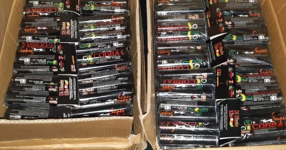 Ruim 400 cobra’s aangetroffen in schuur in Amsterdam-Noord, 15-jarige ...