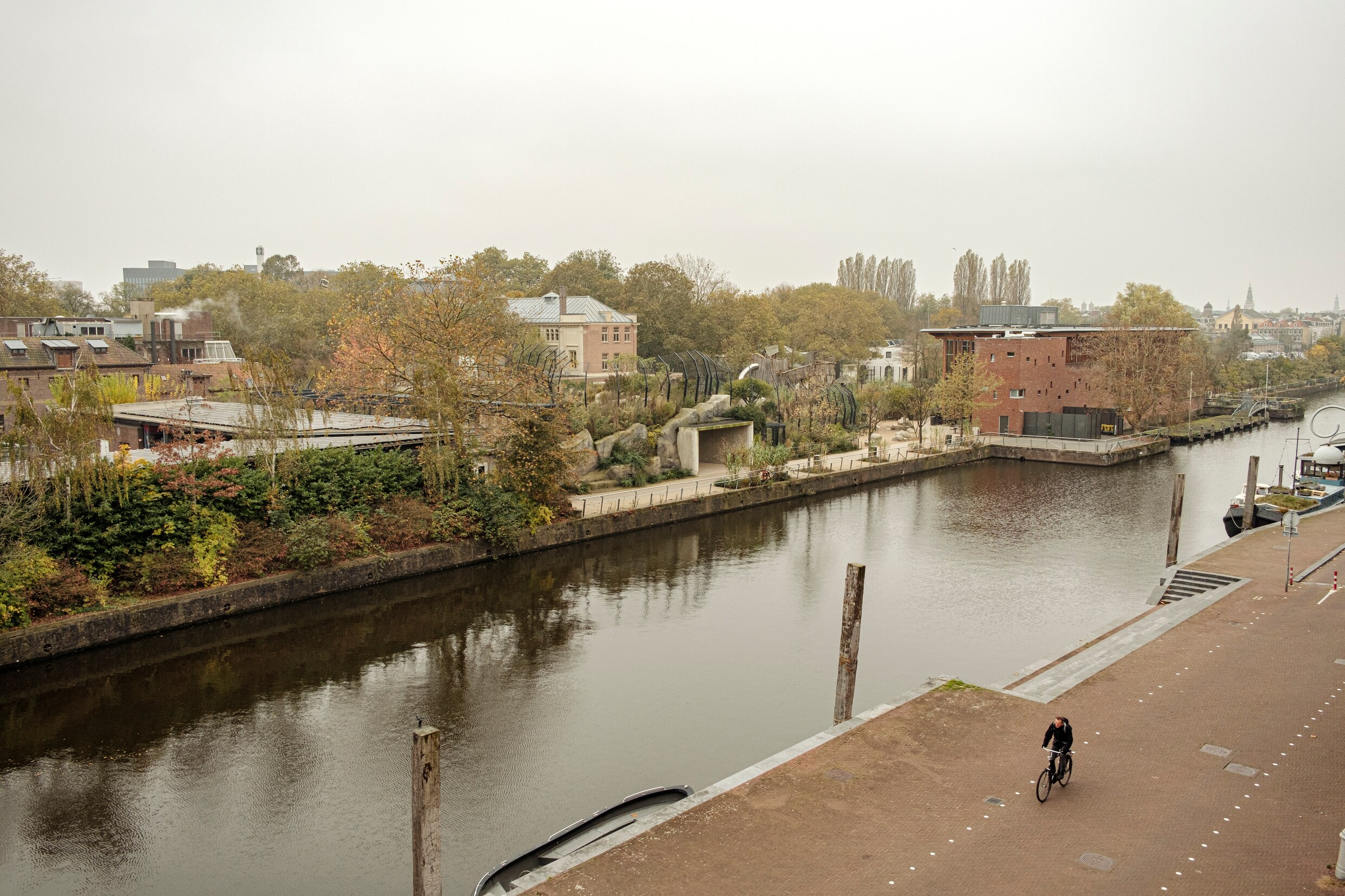 Uitbreidingsplannen Artis vallen verkeerd bij omwonenden: ‘Alsof een ...