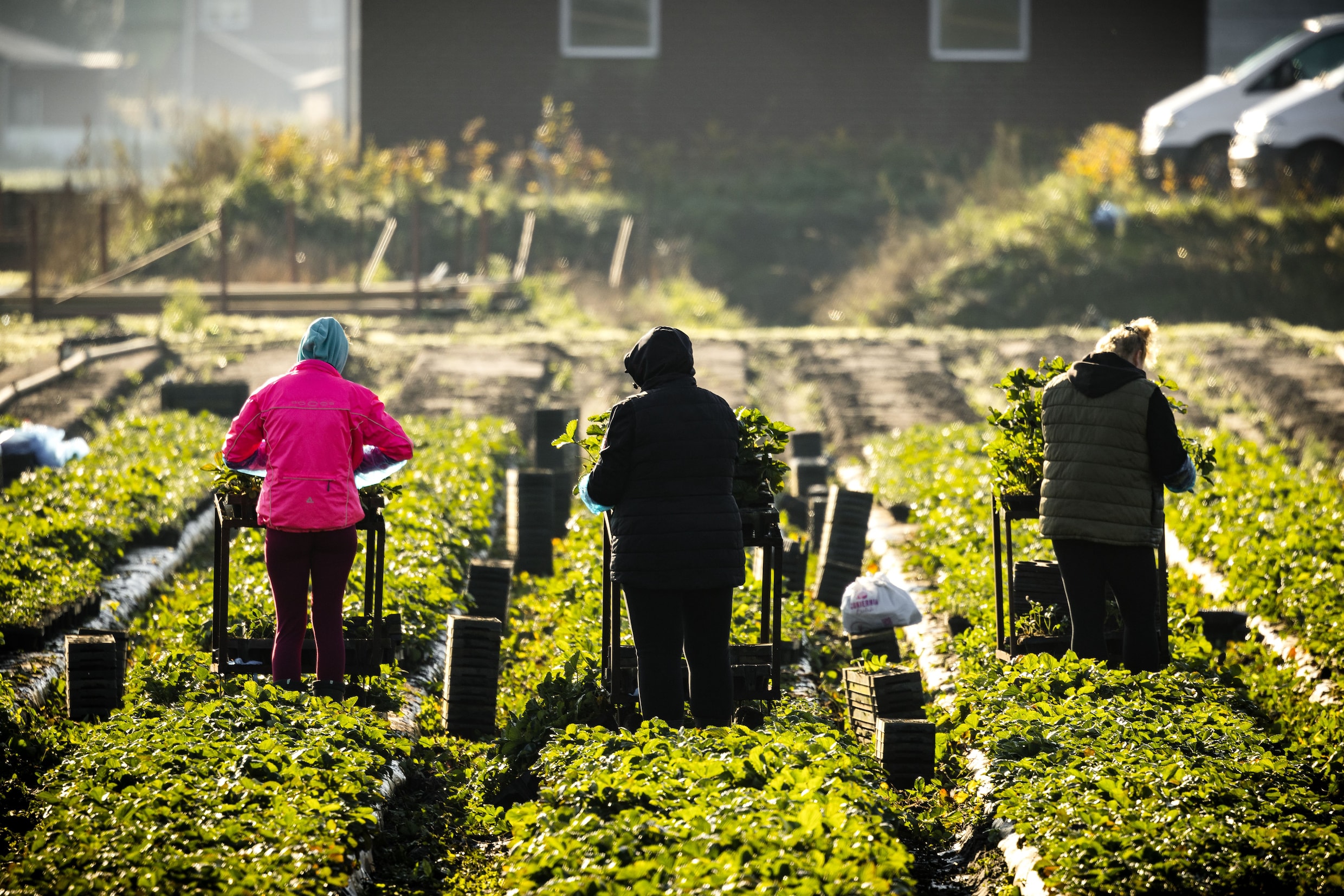 Veel arbeidsmigranten met laag inkomen kampen met stress en drank- of ...