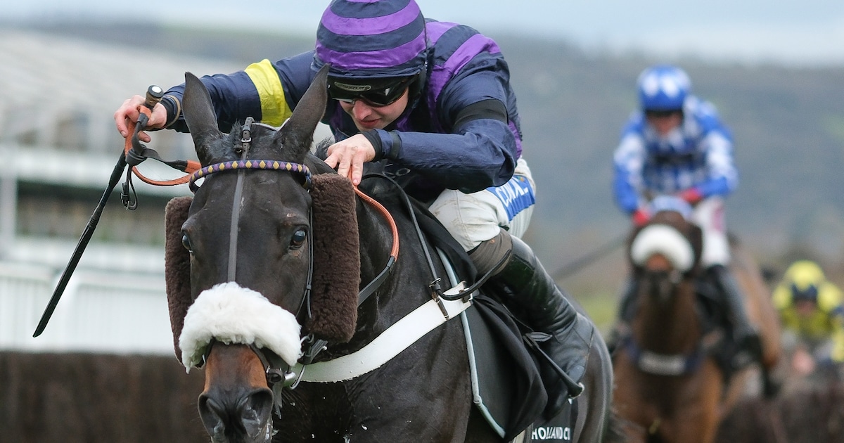 Tragedie met drie dode paarden op renbaan Cheltenham: ‘Het is triest ...