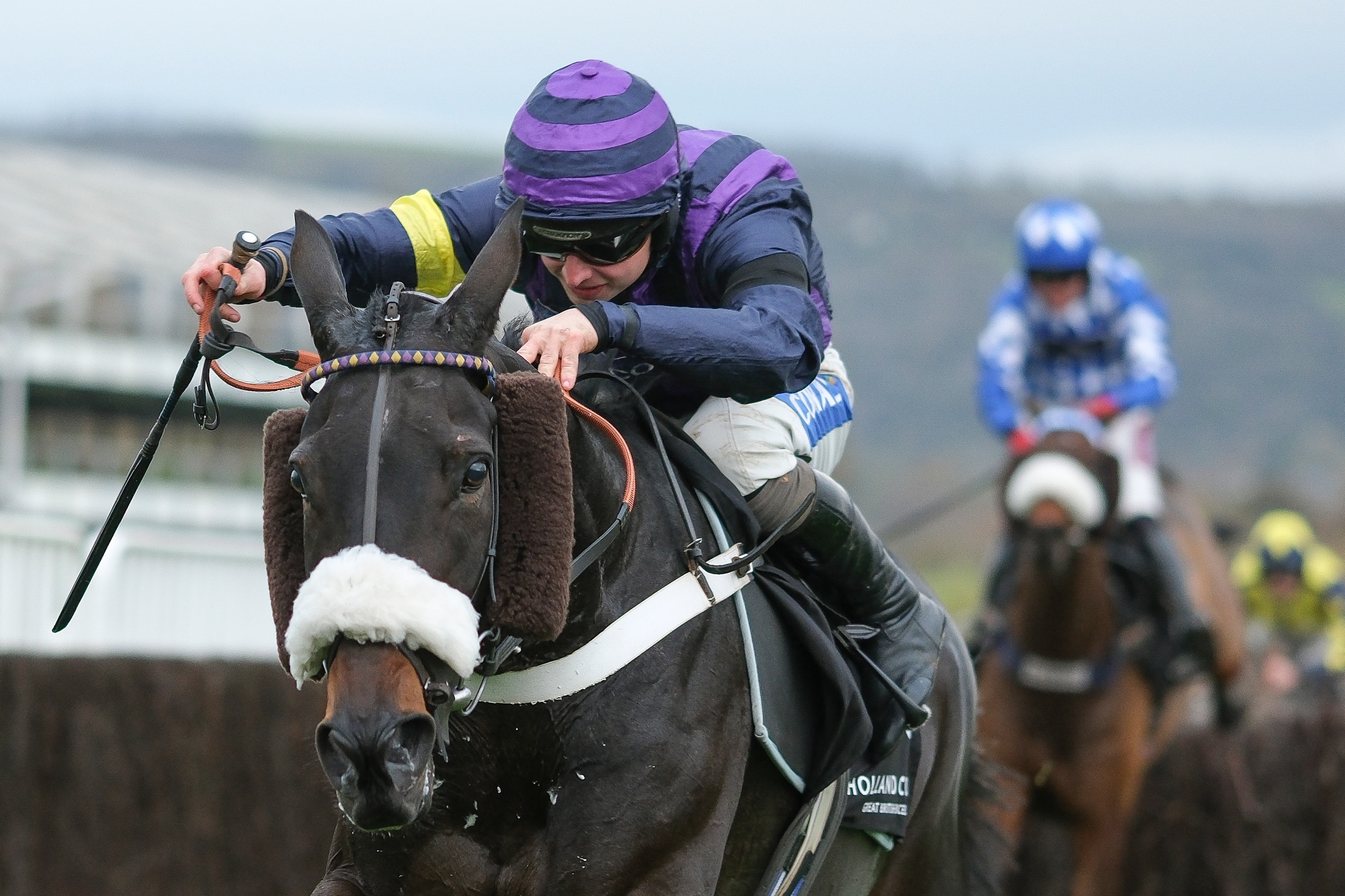 Tragedie met drie dode paarden op renbaan Cheltenham: ‘Het is triest ...