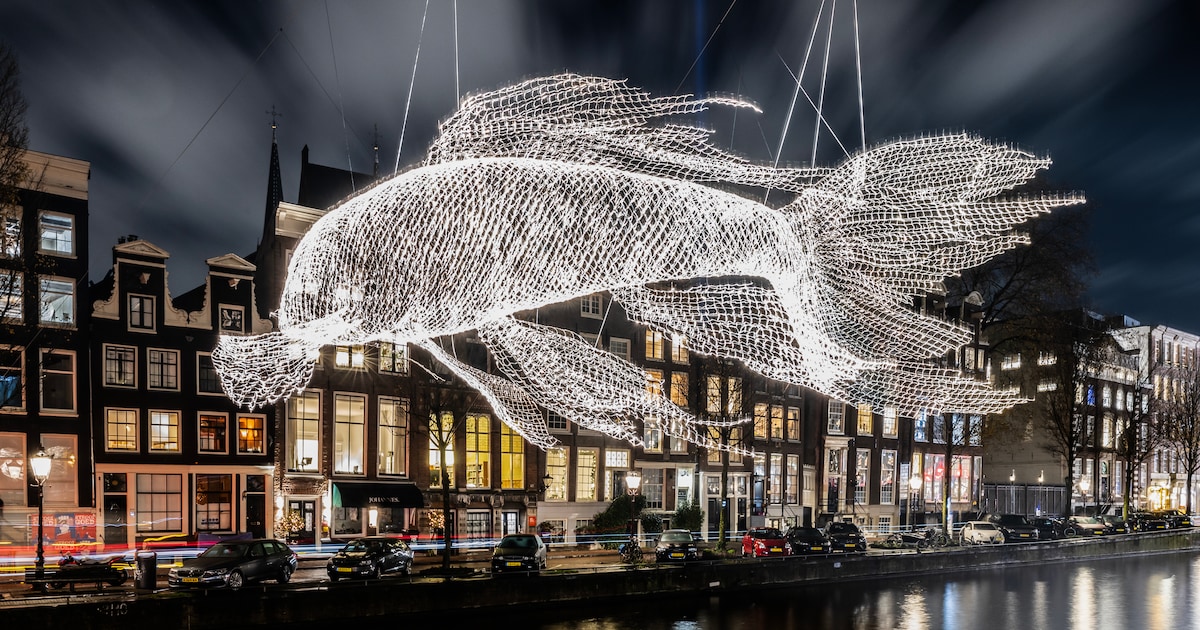 Amsterdam Light Festival 2024-2025: deze werken moet je zien | Het Parool