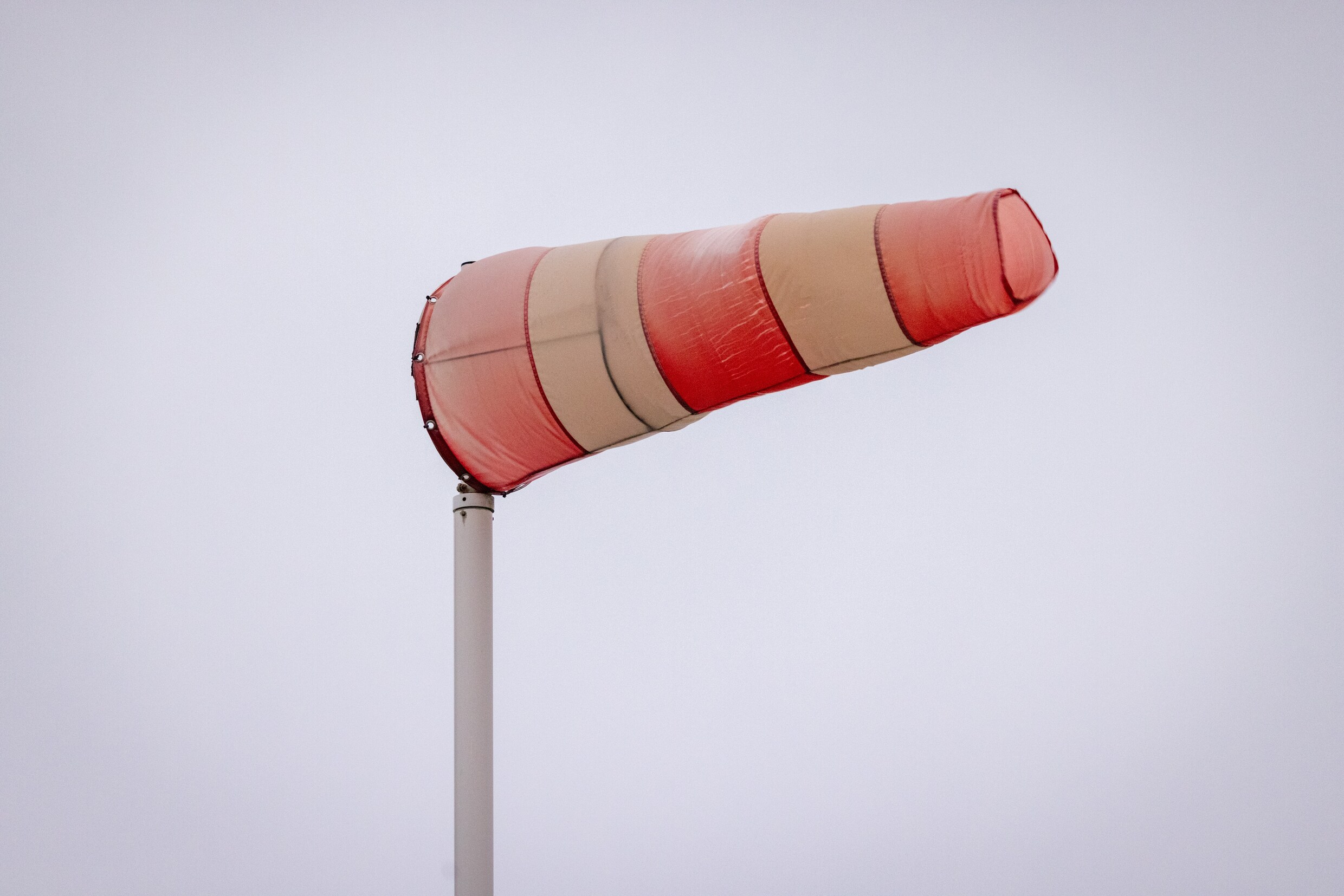 Teruglezen: storm Conall | Boom valt op tramleiding bij Tropenmuseum ...