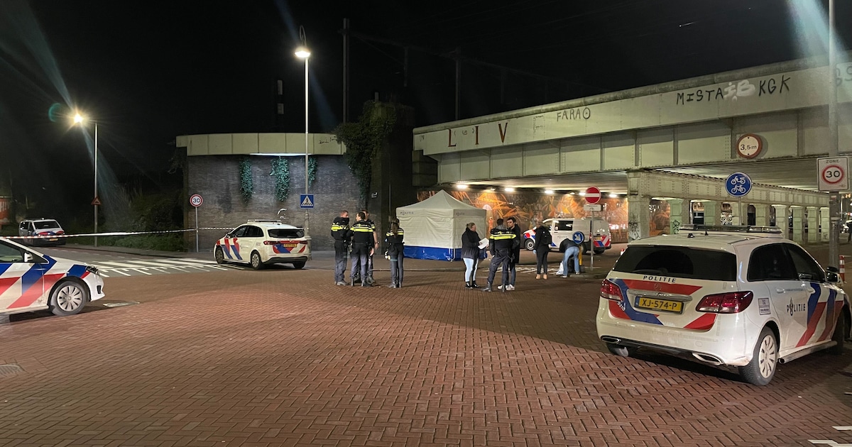 Amsterdammer (30) komt om het leven na melding van schietpartij in ...