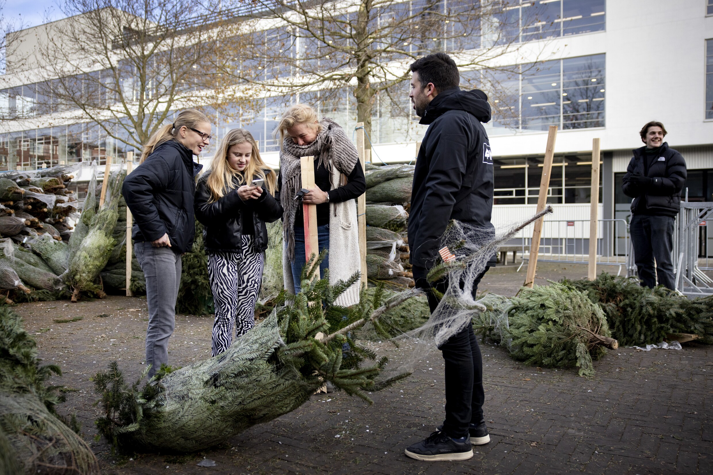 Kunstboom of kerstboom: hoe maak je de duurzaamste keuze? ‘Kies voor ...
