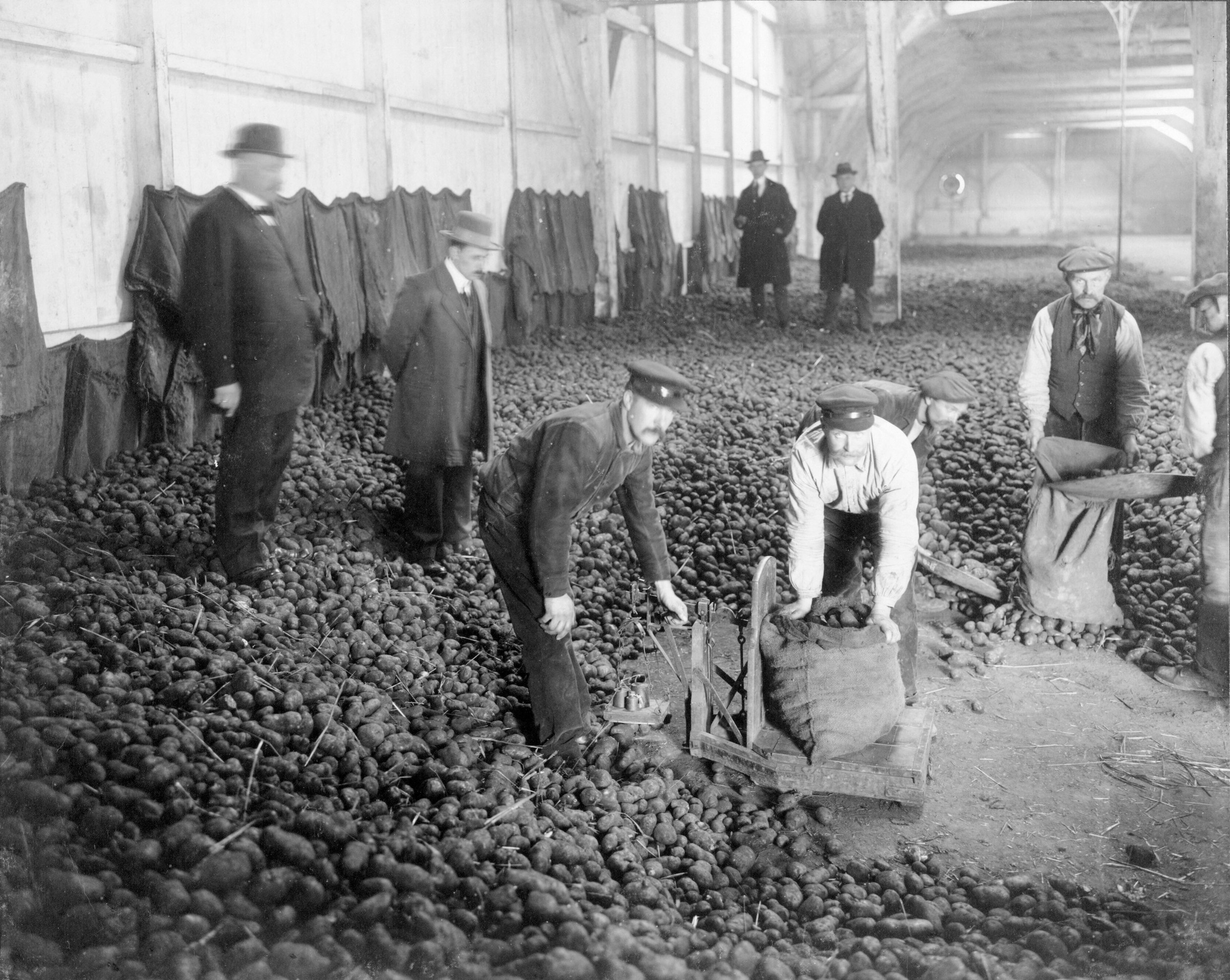 Hoe de aardappelwinkel langzaam uit Amsterdam verdween: ‘Sommige ...