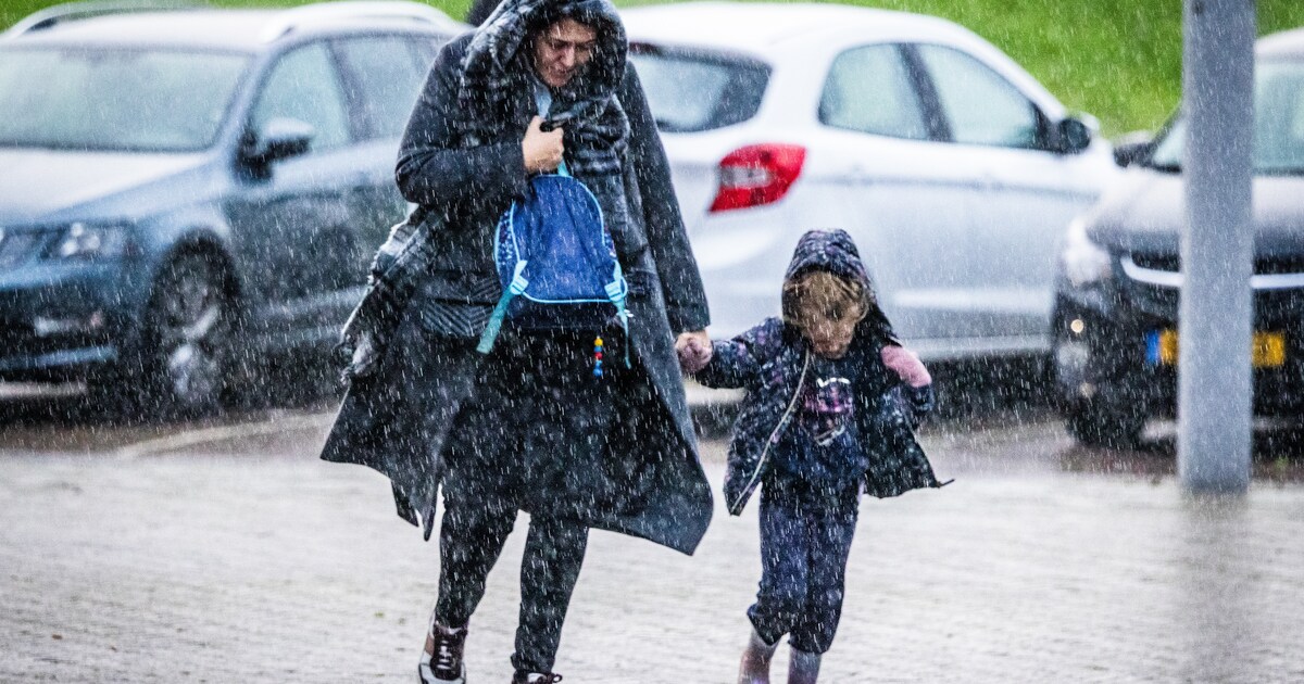 Maandagmiddag code geel vanwege zware windstoten, later in de week opnieuw kans op sneeuw | Het ...