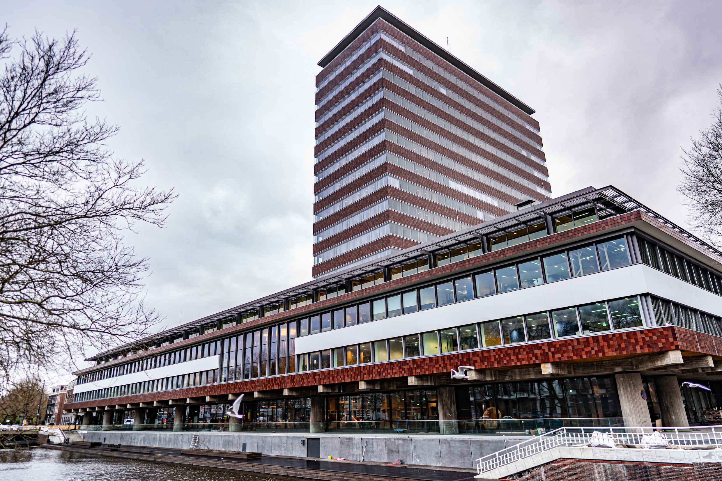 DNB voert reorganisatie door om 60 miljoen euro te besparen: ‘Gaat ...
