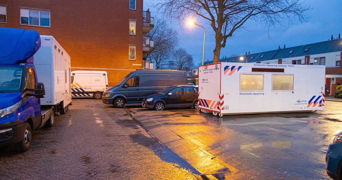 Acht jaar cel en tbs voor Julia K. (63), die haar partner doodstak in Diemen - Oozo.nl