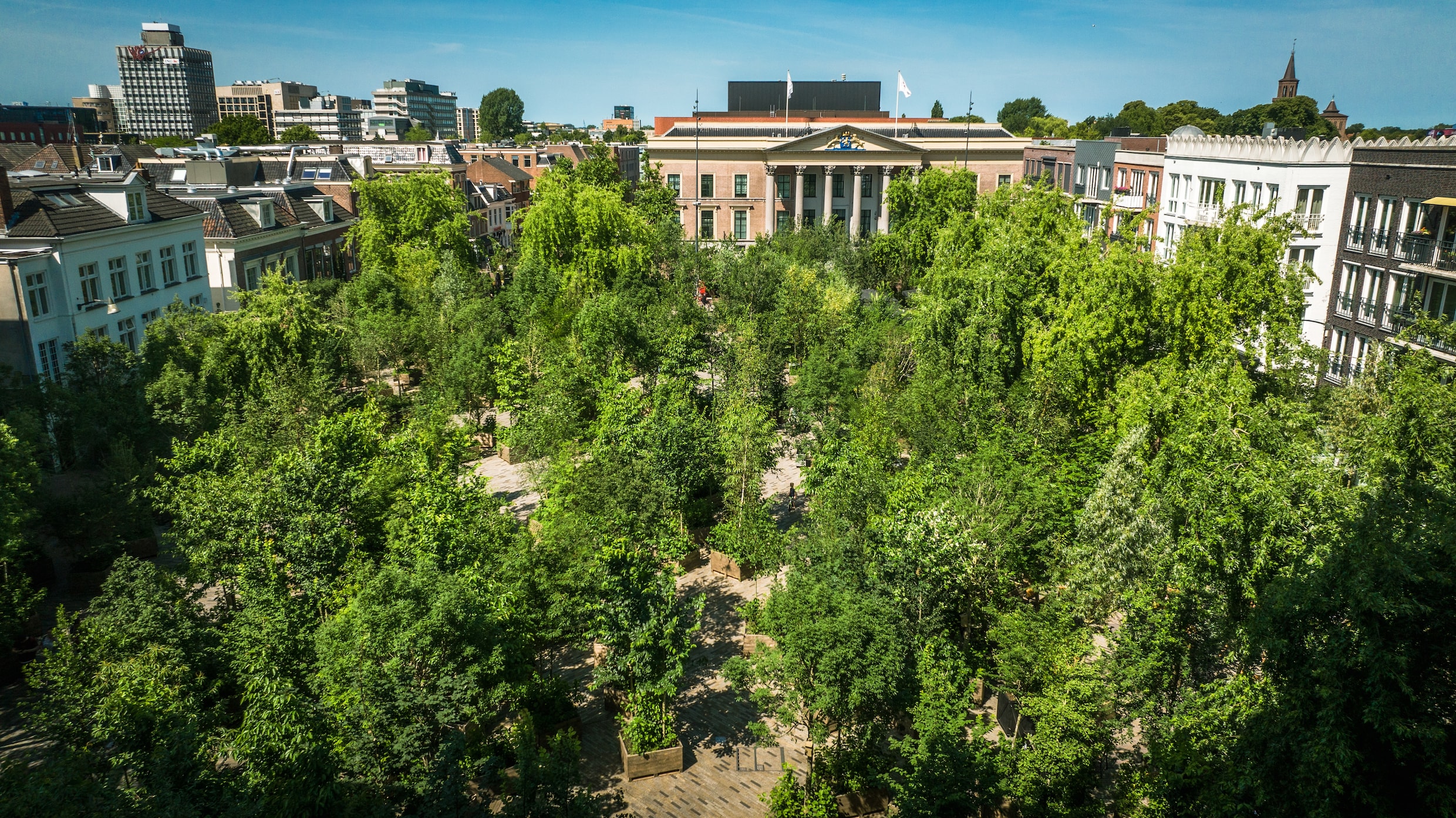 750 bomen, voor één dag óp de A10: Amsterdam heeft op 21 juni een ...