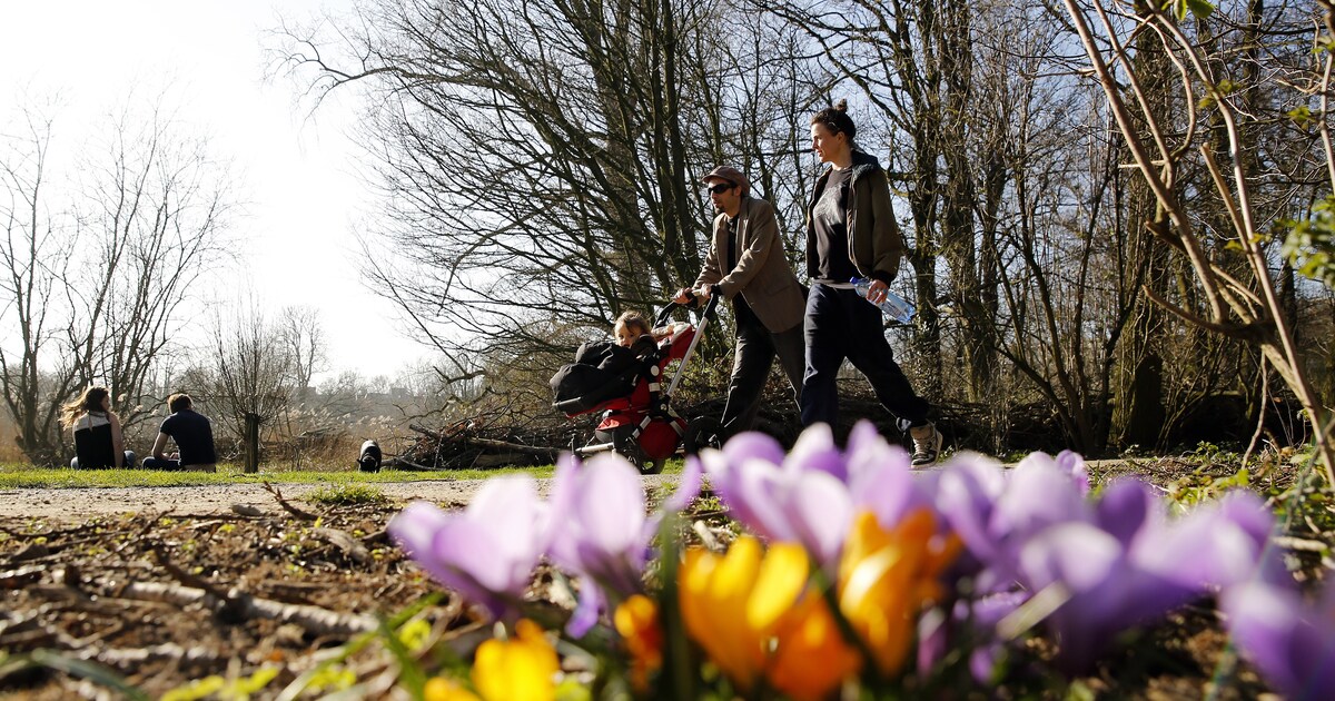 Warmste 7 maart ooit gemeten, ook dit weekend zonnig lenteweer op komst ...