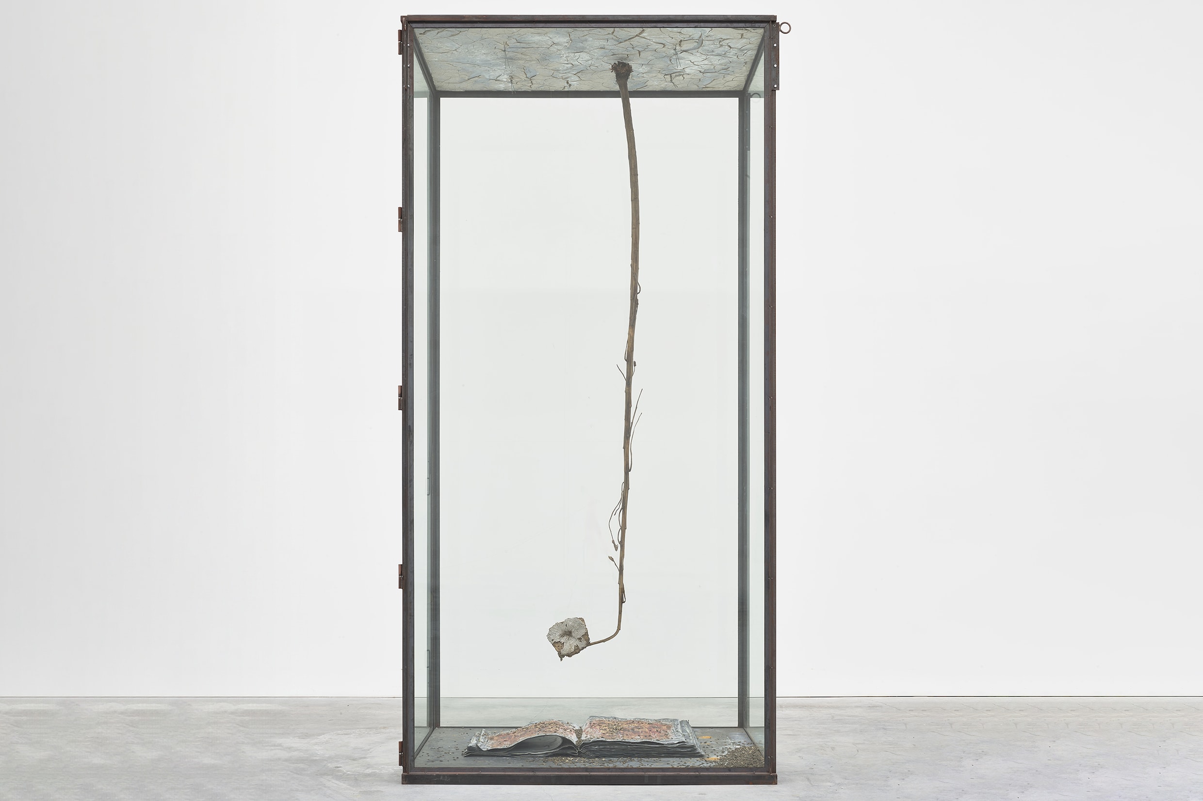 Anselm Kiefer maakte op verzoek van het Van Gogh Museum een nieuw werk ...