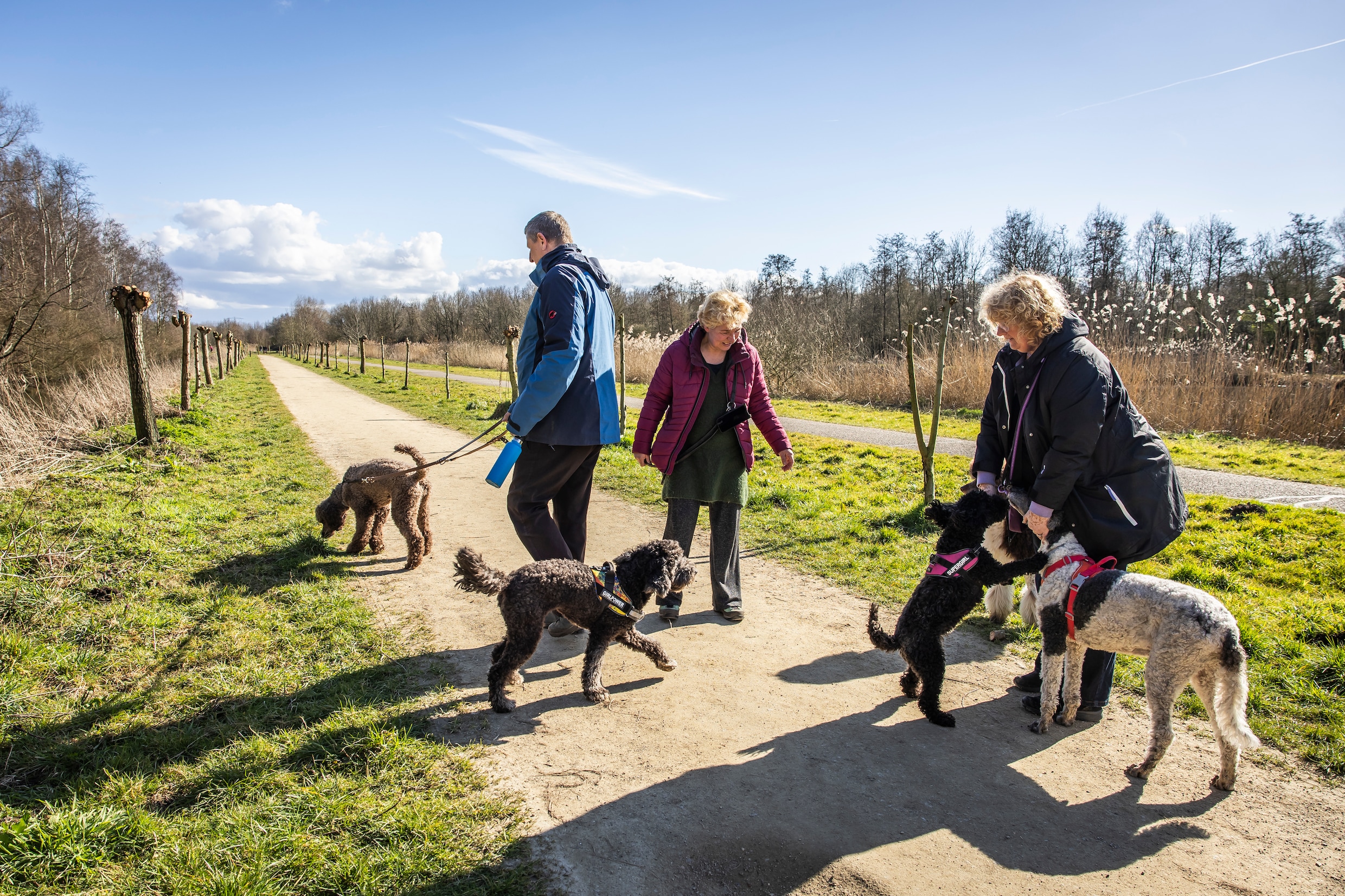 In het Diemerbos is in het broedseizoen niet iedereen van plan de hond ...