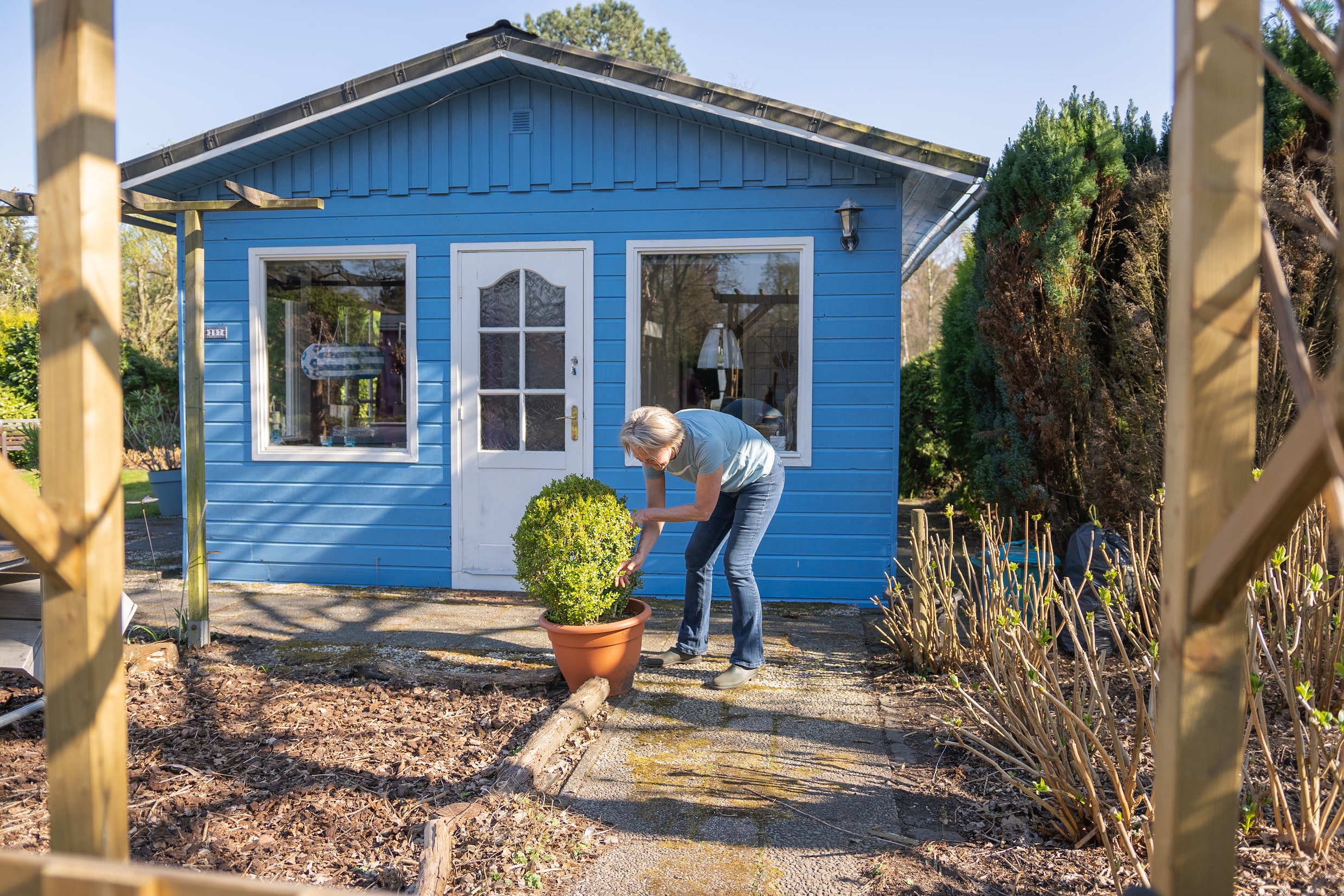 Groene oases in de stad: 5 bijzondere tuinparken in Amsterdam | Het Parool