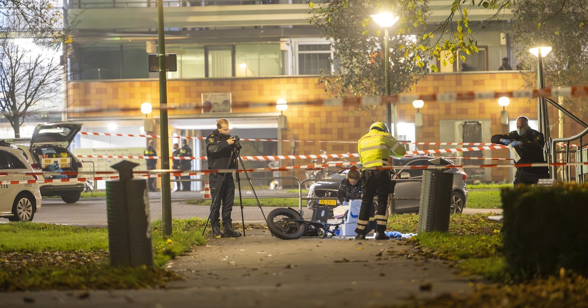 Rechter laat verdachten van wilde schietpartij bij flat Hakfort in ...
