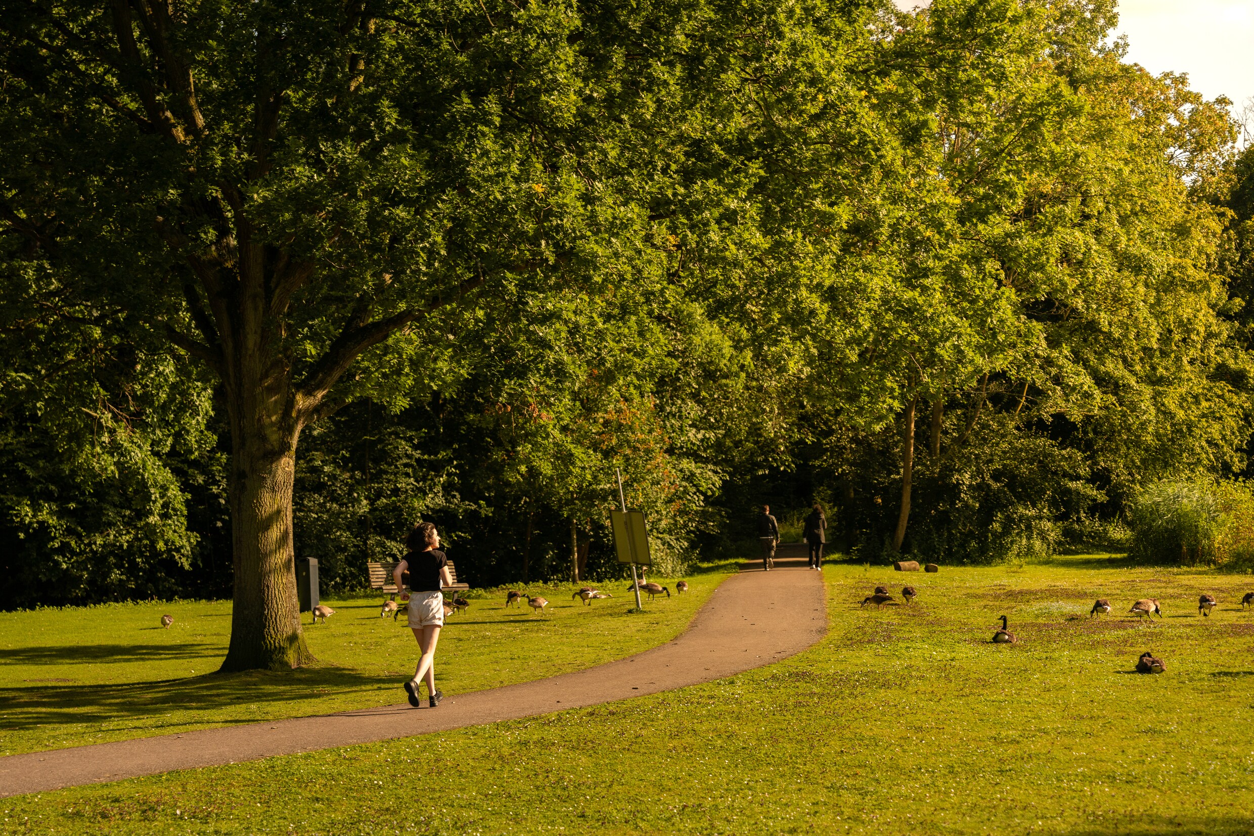 Aanrandingen in Amsterdamse parken: vrouwen op billen geslagen en ...