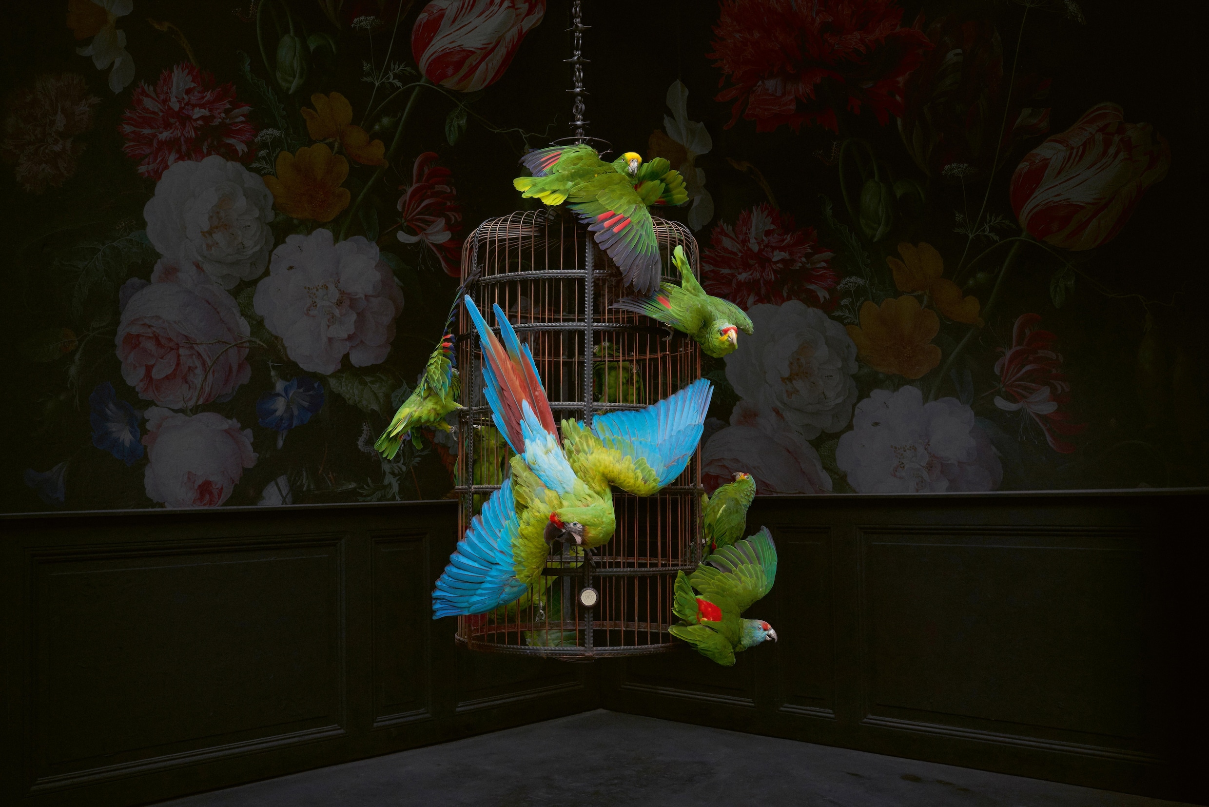 In het nieuwe Art Zoo Museum op de Herengracht krijgt taxidermie een ...