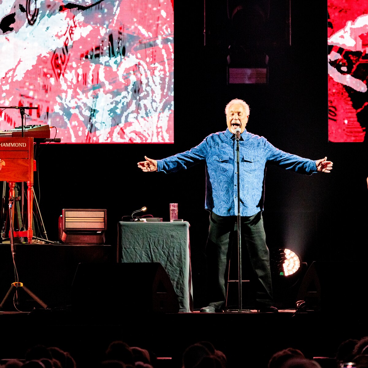 Rechargement De Tom Jones