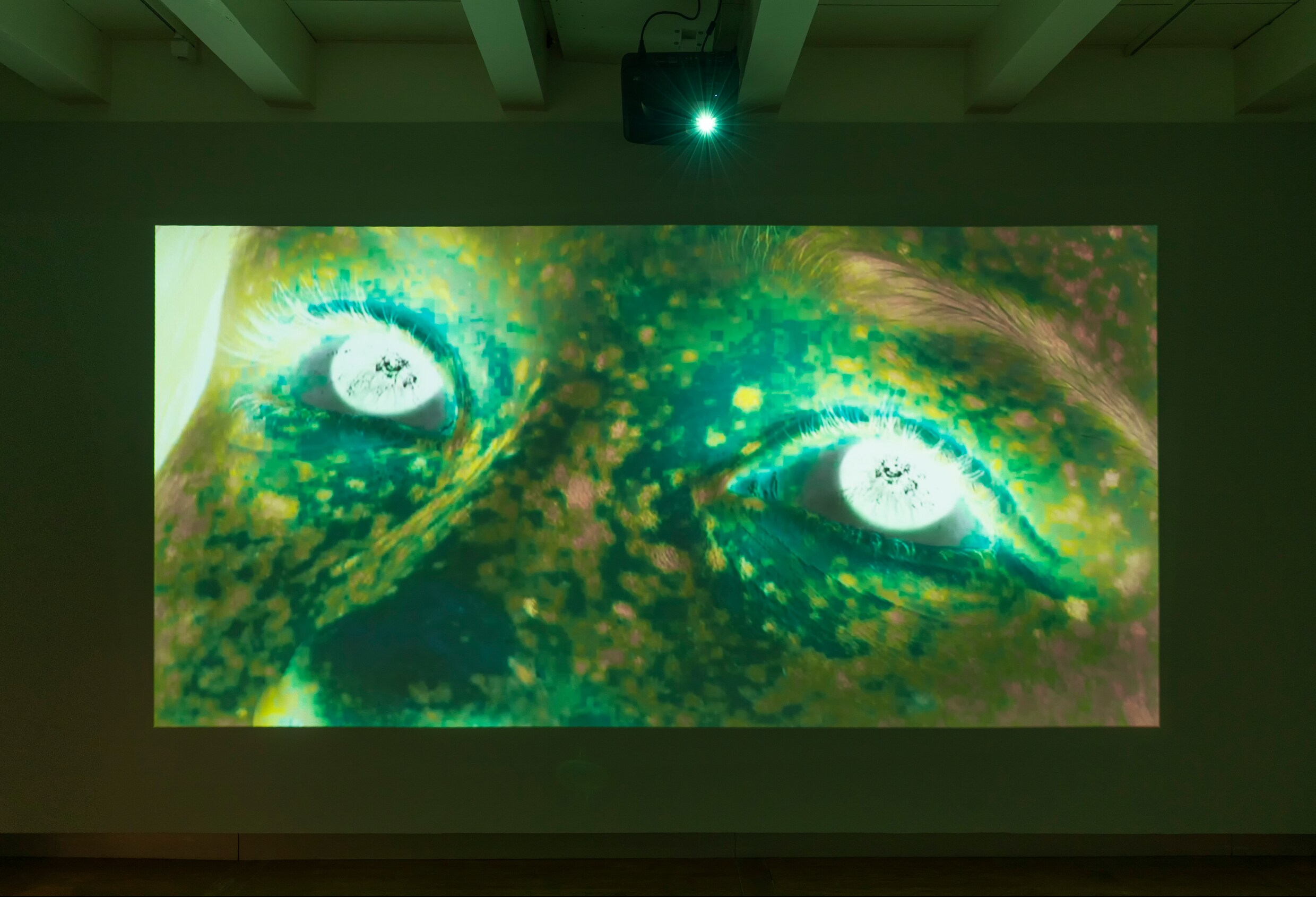 Recensie: Amsterdam Museum sluit verblijf in H’art Museum af met ...