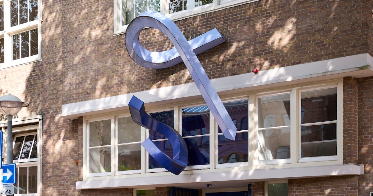 Deze krullen aan basisschool De Witte Olifant beelden aantrekken en ...