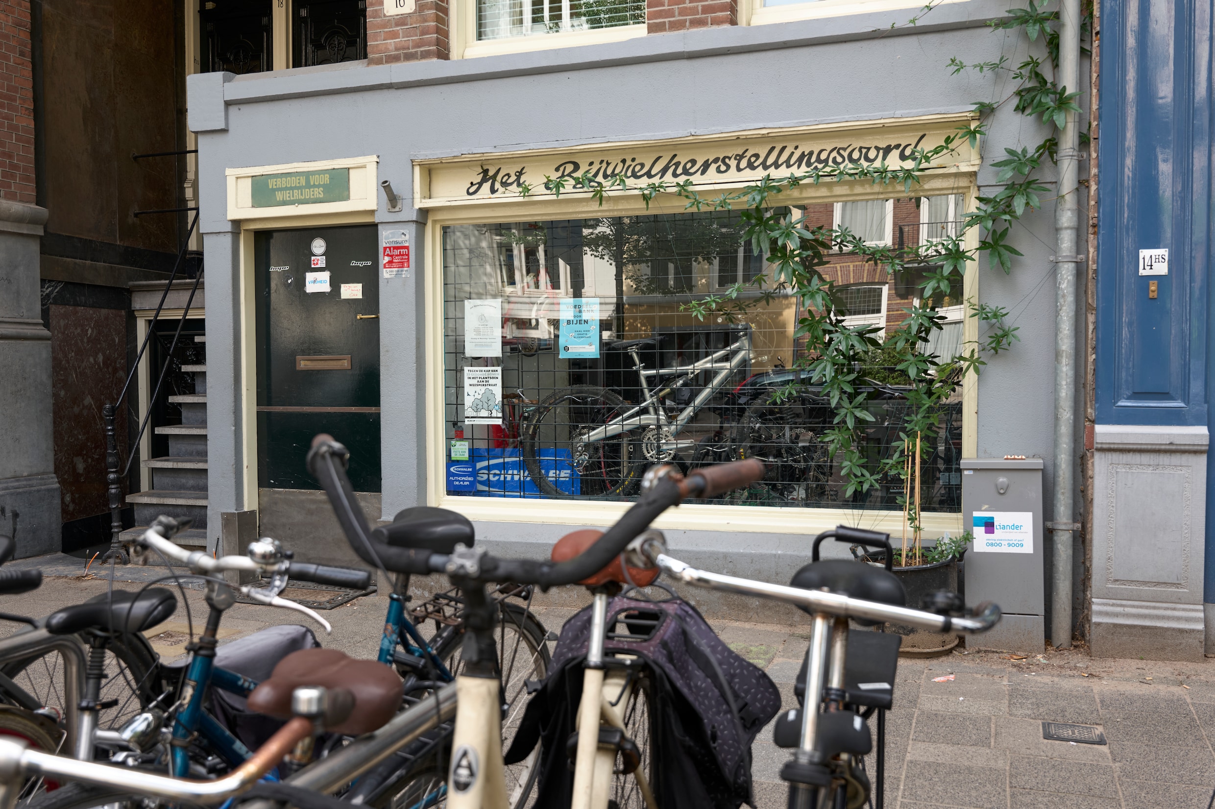 Het Amsterdam van neurobioloog Brankele Frank: ‘Ik wil naar ...