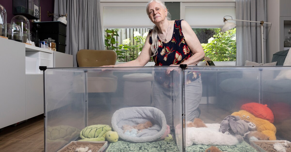 Joke (70) ontfermt zich al 50 jaar over verweesde dieren: ‘In de jaren ...