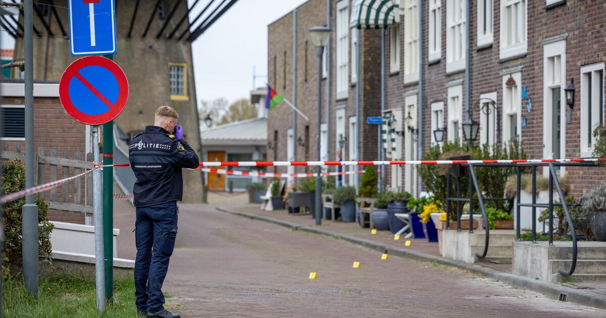 Jesse R. uit Diemen bekent onthoofding van zijn moeder: ‘Het is ...