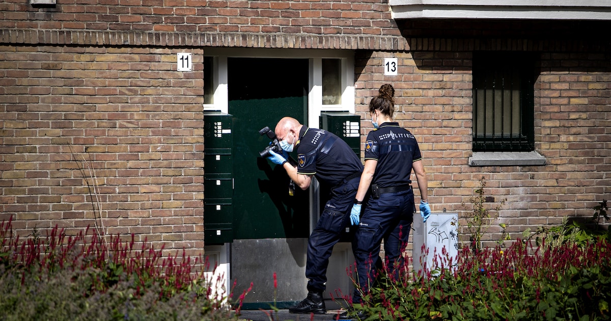 OM eist ook in hoger beroep tbs tegen man die onderbuurman doodstak in Amsterdam-West | Het Parool