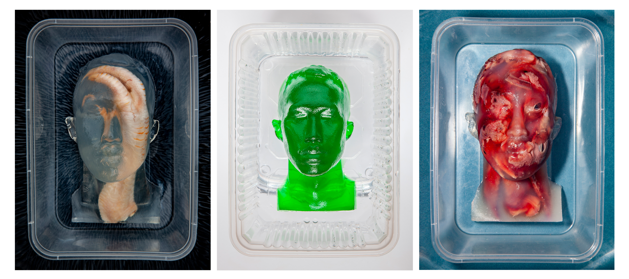 Kunstenaar Dang-Vu Dang serveert zichzelf als historisch bewuste ...