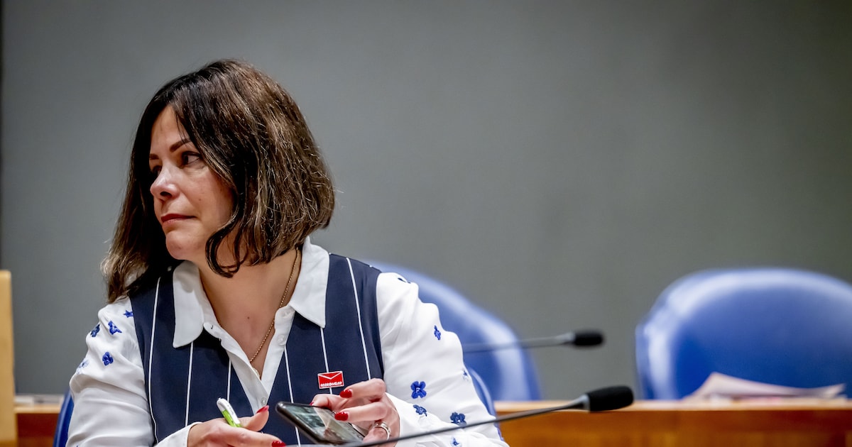 Chagrijn bij NSC: Sandra Palmen zegt partij vaarwel, maar keert onder ...