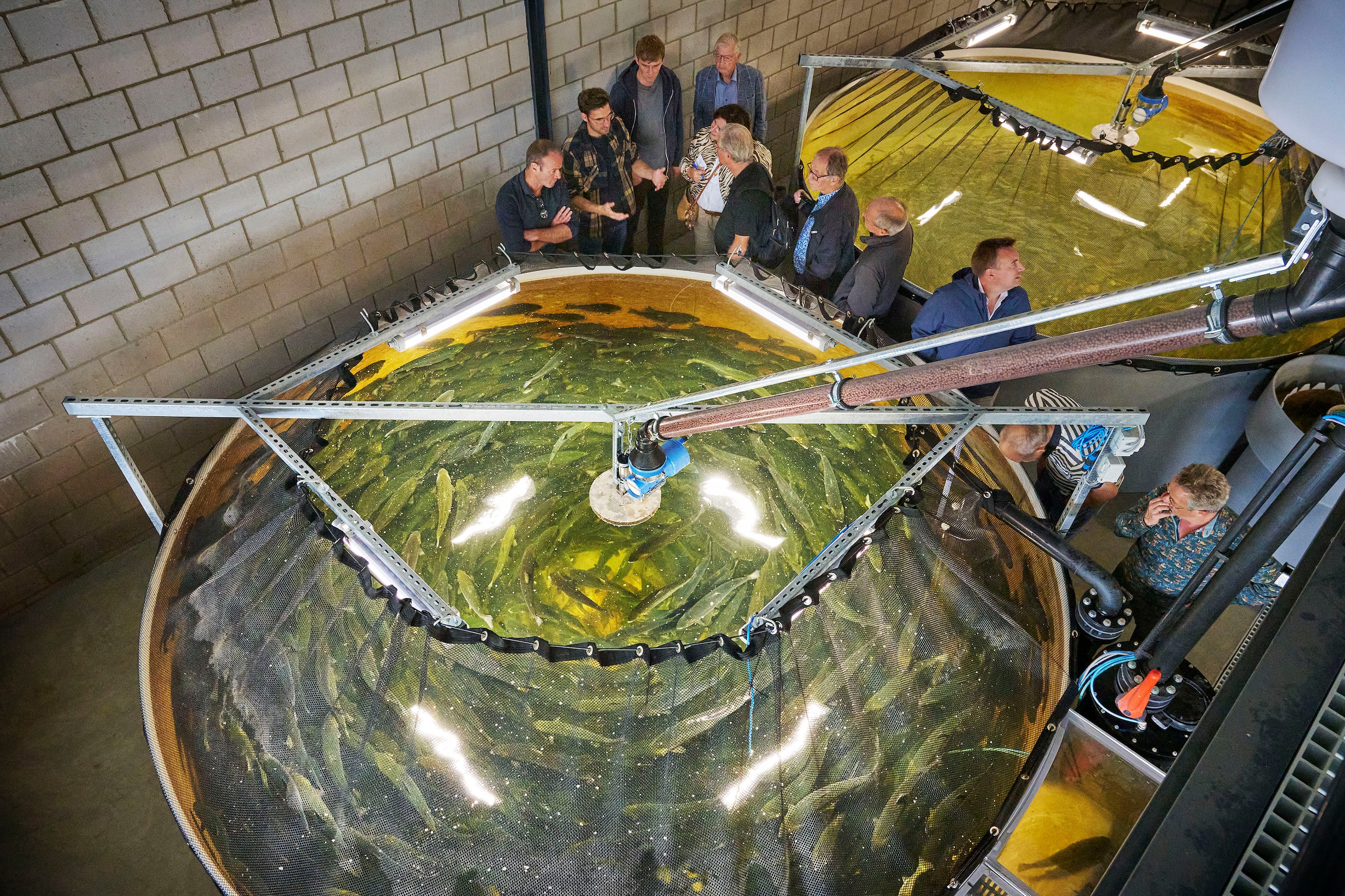 Varkens maken plaats voor vissen in de eerste zalmkwekerij van ...