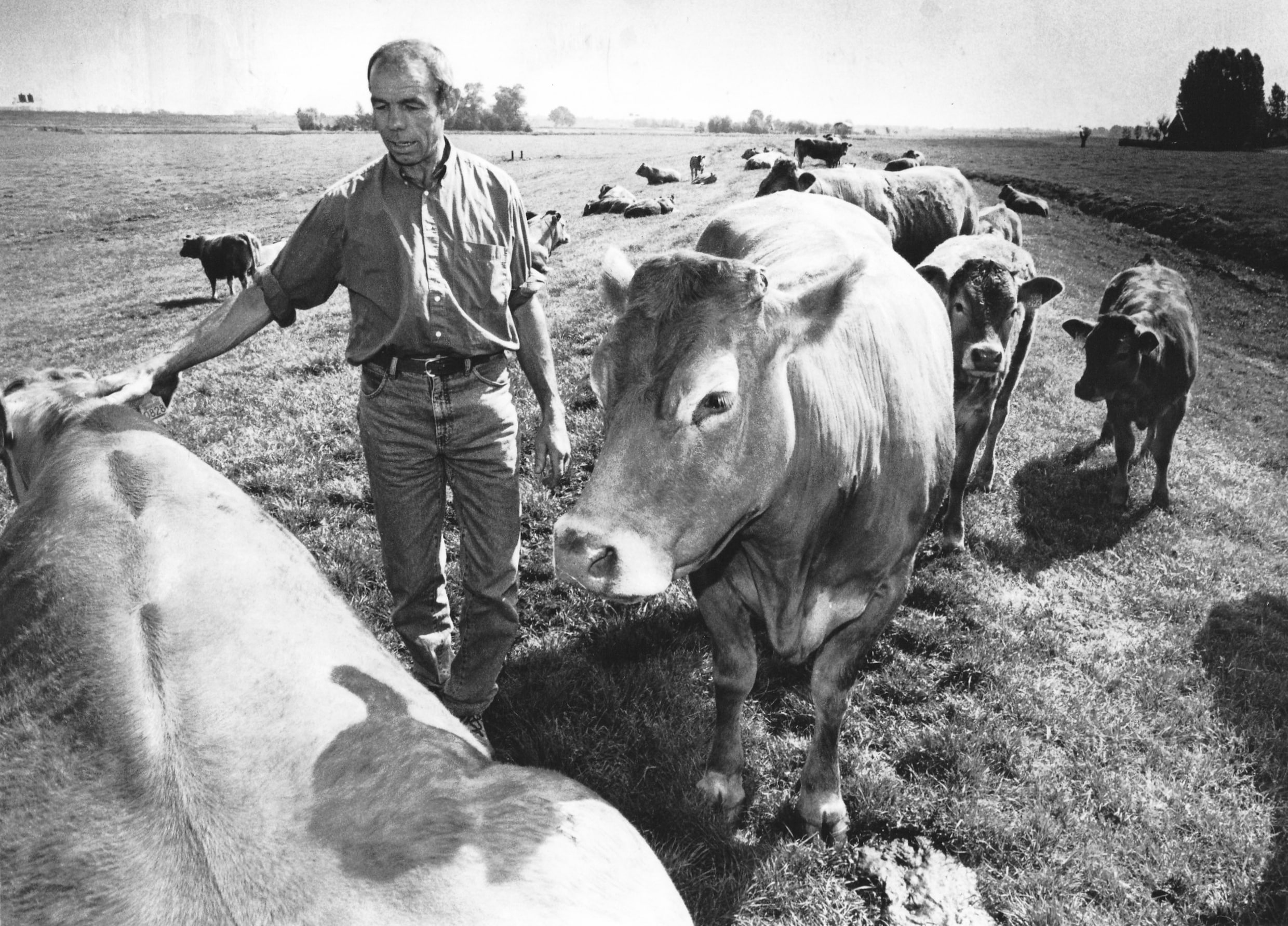 Boer Jan Geijsel (1940-2025) gaf net buiten Amsterdam tienduizend ...