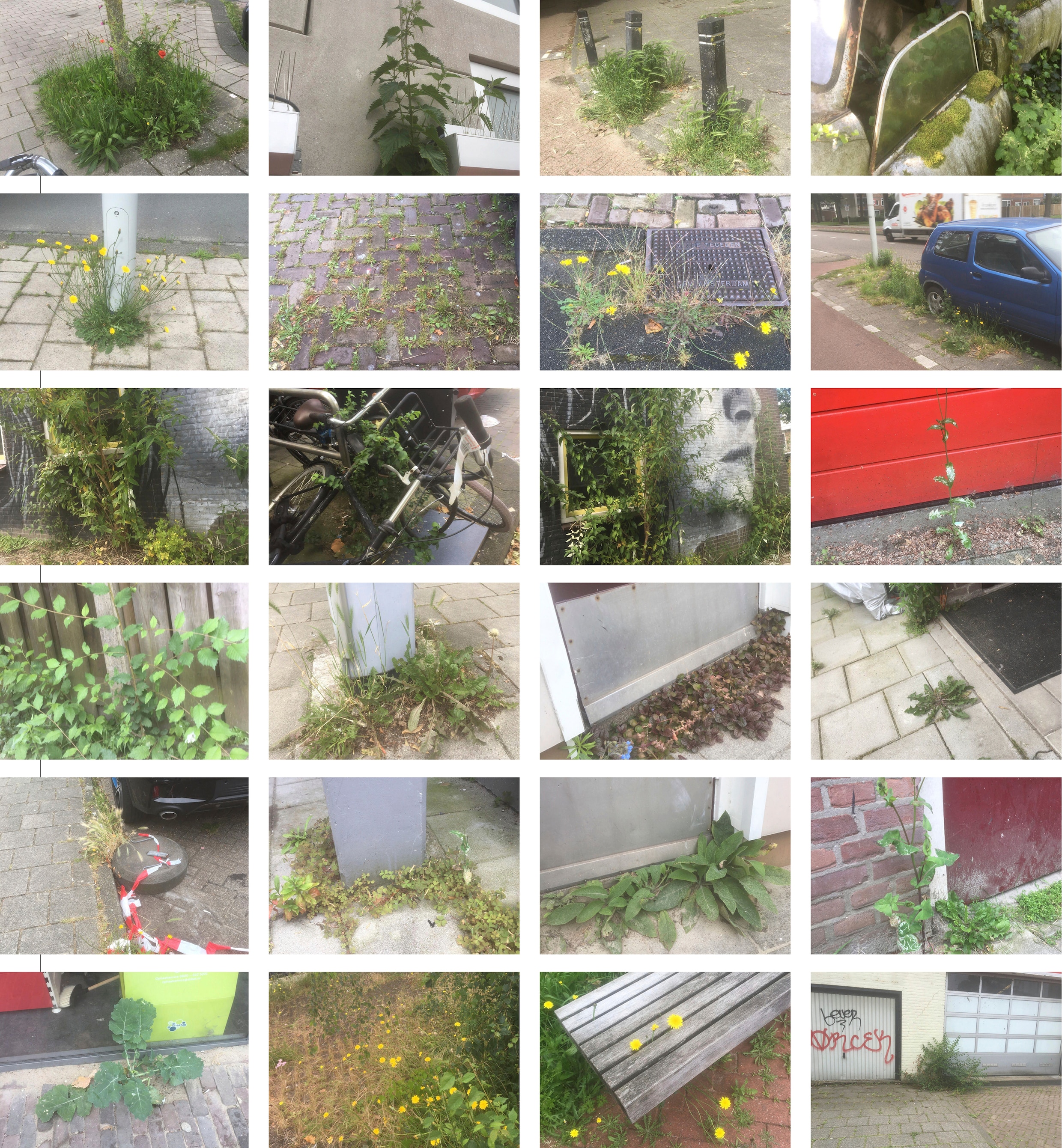 De stad door de lens van Amsterdammers | Paroollezer Rene de Haan: ‘Wat ...