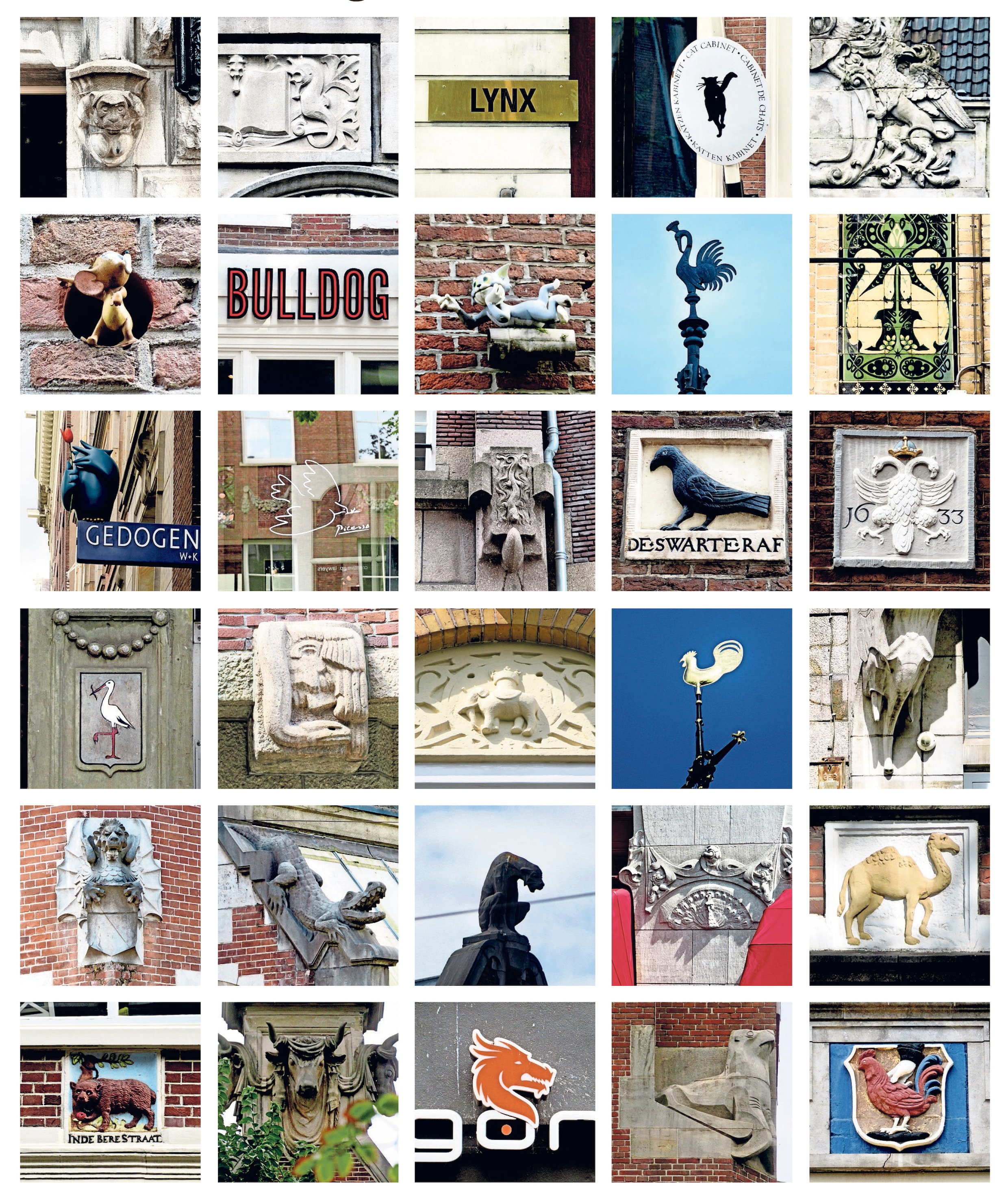 De stad door de lens van Amsterdammers | Moniek Spaans bracht in beeld ...