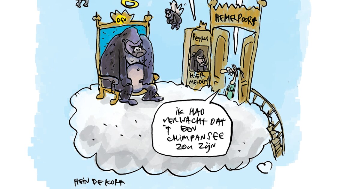 Bekijk hier alle cartoons van Hein de Kort | Het Parool