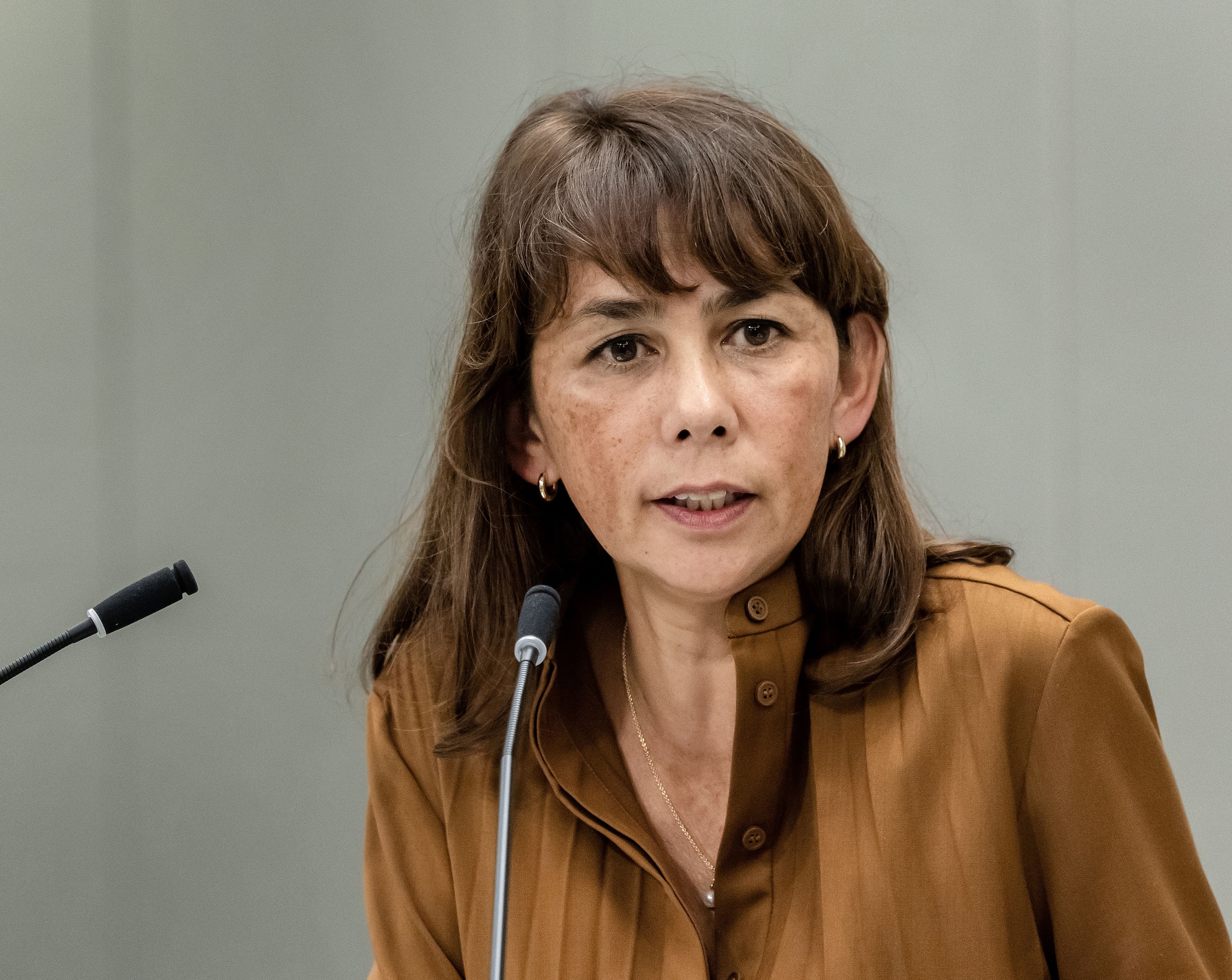 Mei Li Vos (GroenLinks-PvdA) gekozen tot voorzitter Eerste Kamer | Het Parool