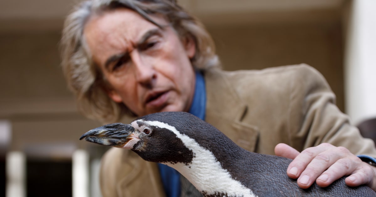 Recensie The Penguin Lessons: wat is waar in gekunsteld verhaal over ...