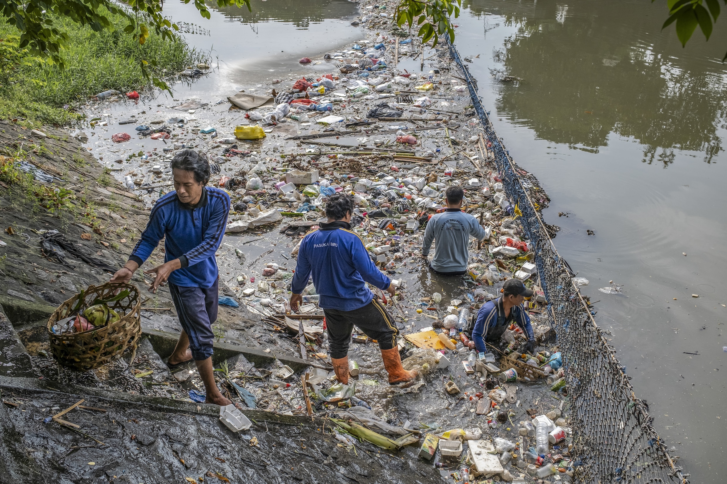 Het plastic is nog niet uit de mangrove op Bali gevist, of er ligt ...
