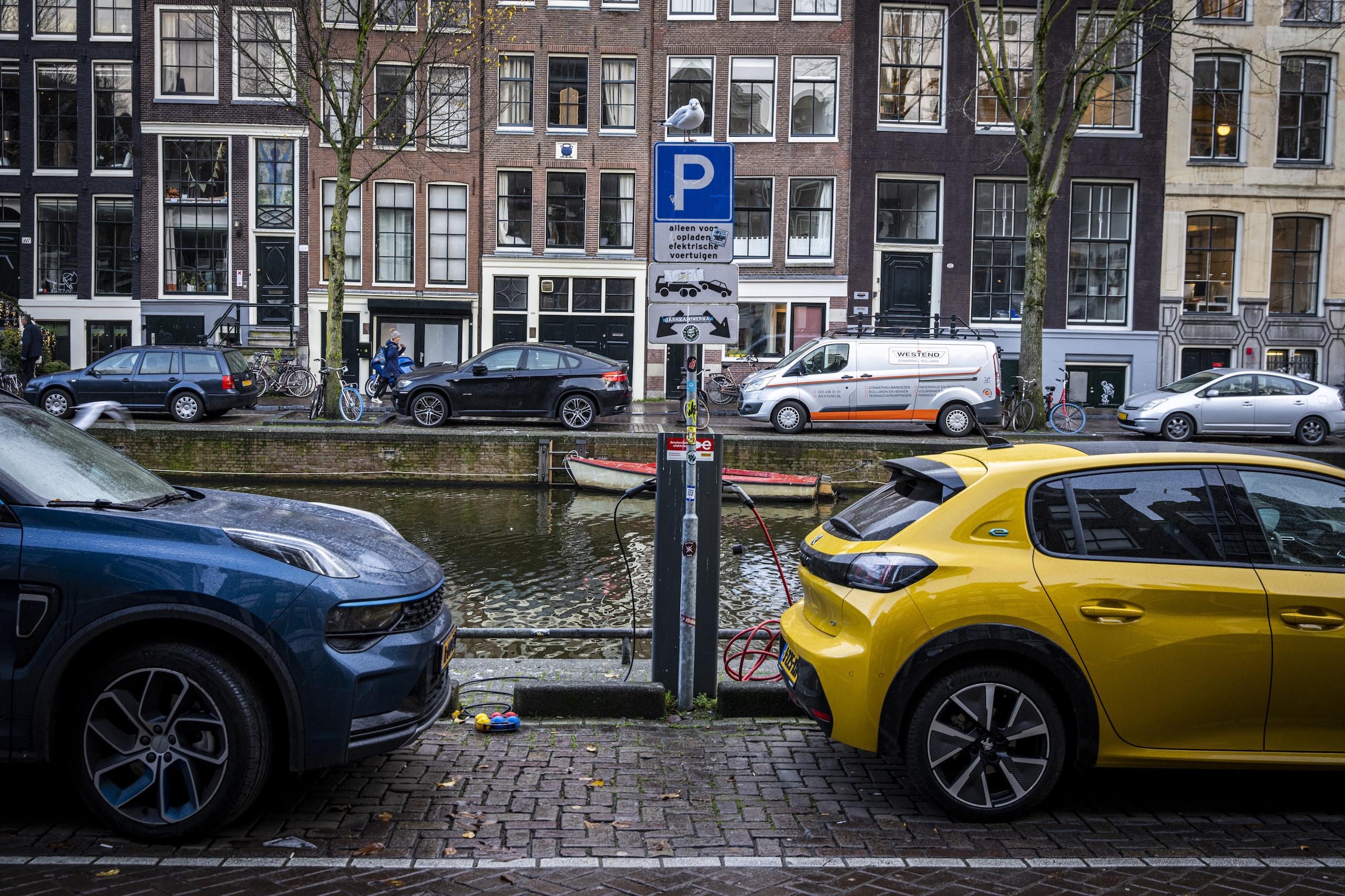 Vegan is op retour en het imago van elektrisch rijden krijgt een knauw ...