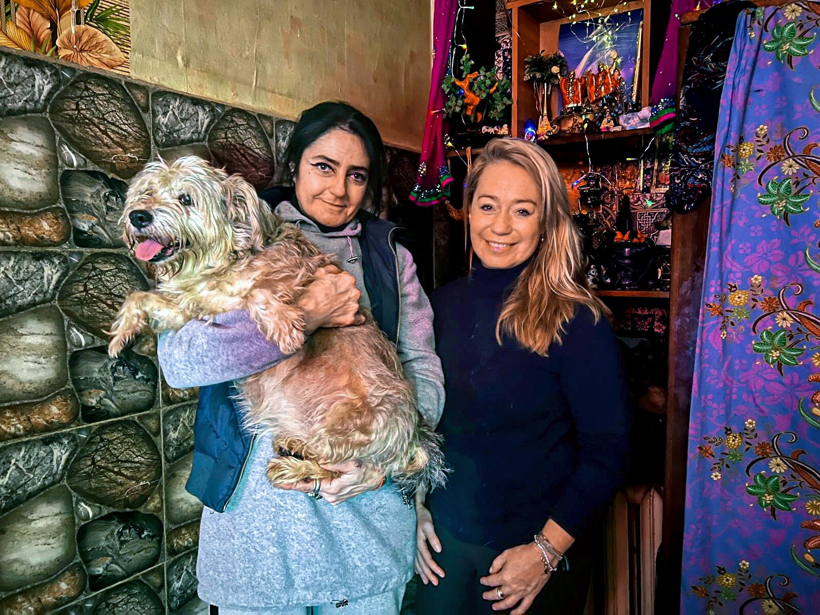 House of Animals probeert het lot van huisdieren in Oekraïne te ...