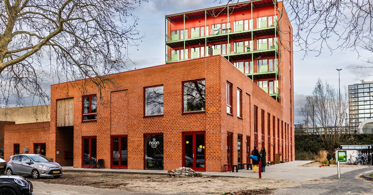 Wooncoöperatie de Nieuwe Meent is activistisch en radicaal democratisch – met een sympathieke ...