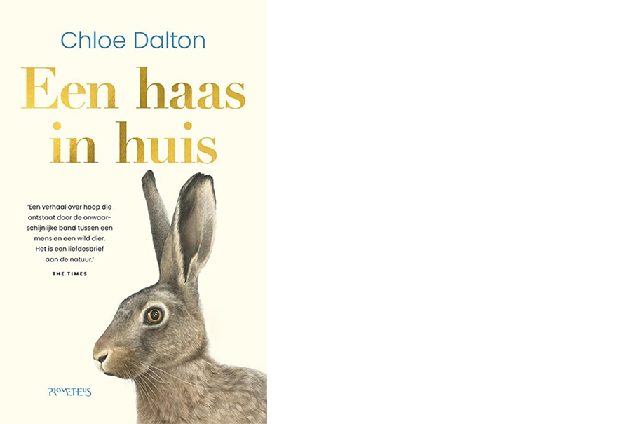 Schrijfster Chloe Dalton (46) leefde samen met een haas: ‘Ik besefte ...