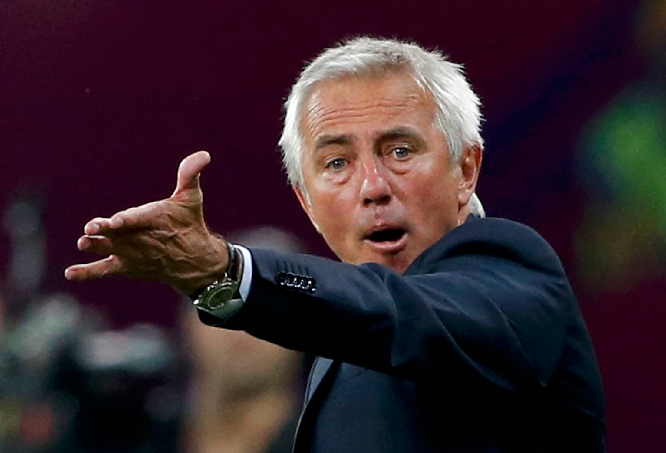 Bert van Marwijk nieuwe trainer HSV | Het Parool