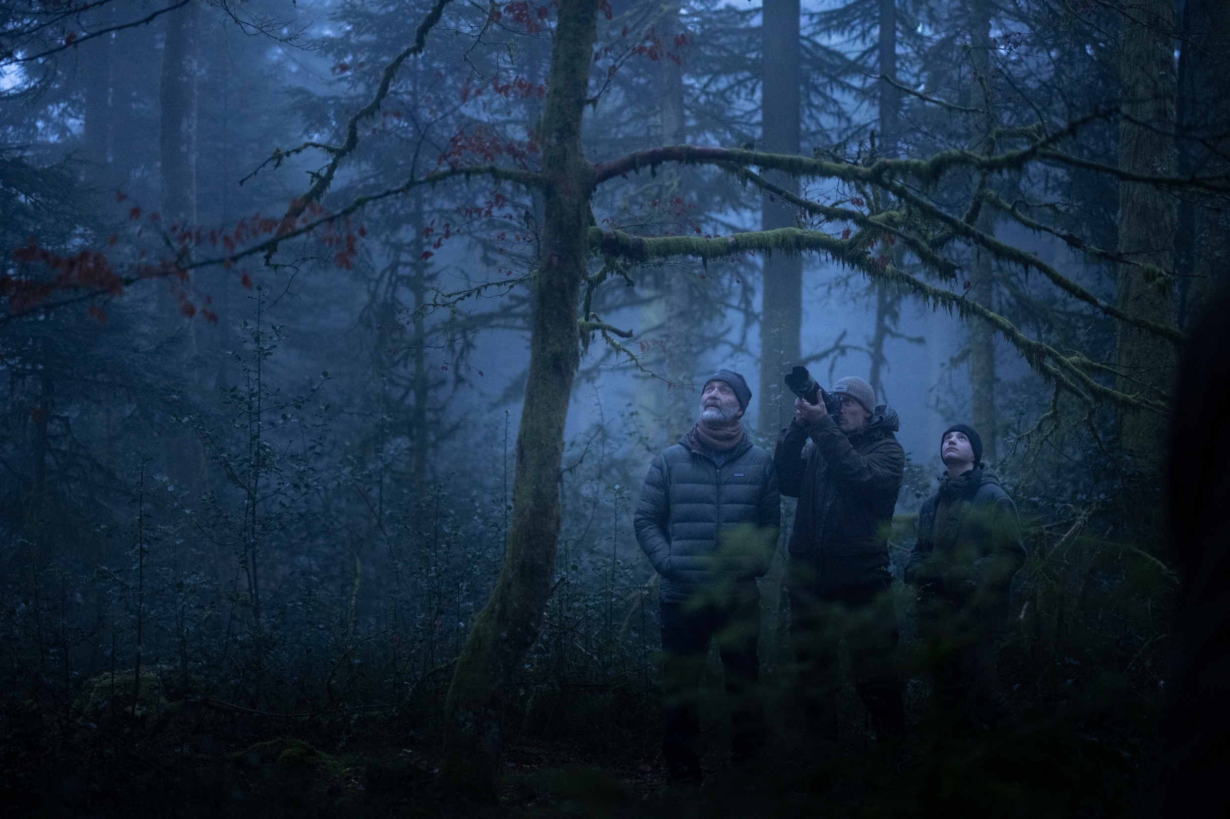 Filmrecensie ‘Whispers in the Woods’: alles draait om toeval in deze ...
